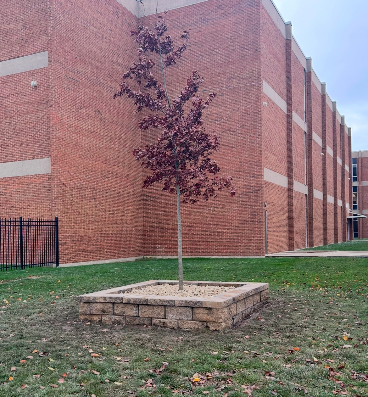 Alumni | Dayton Christian School